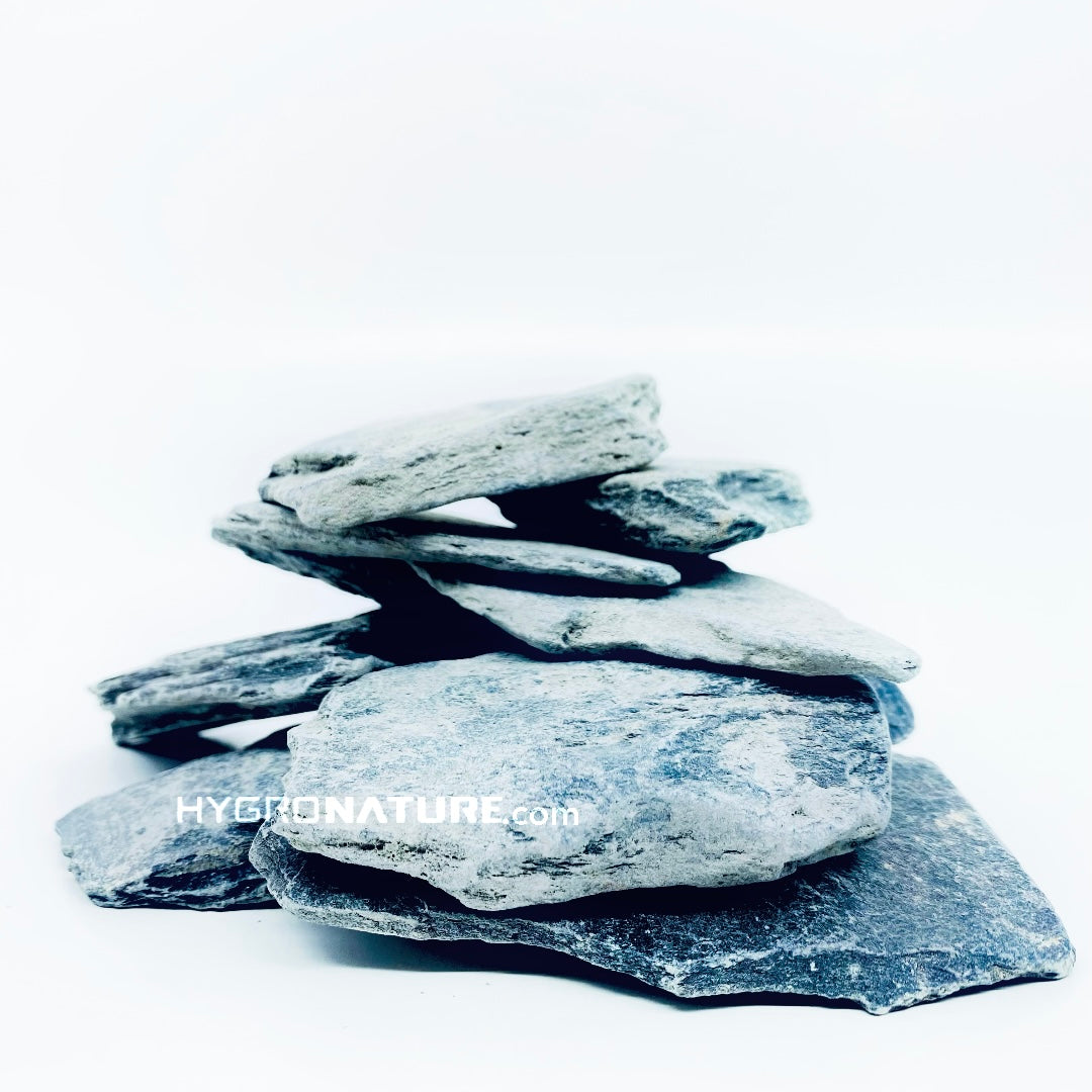 Natural Gray Slate Rocks – HYGRONATURE